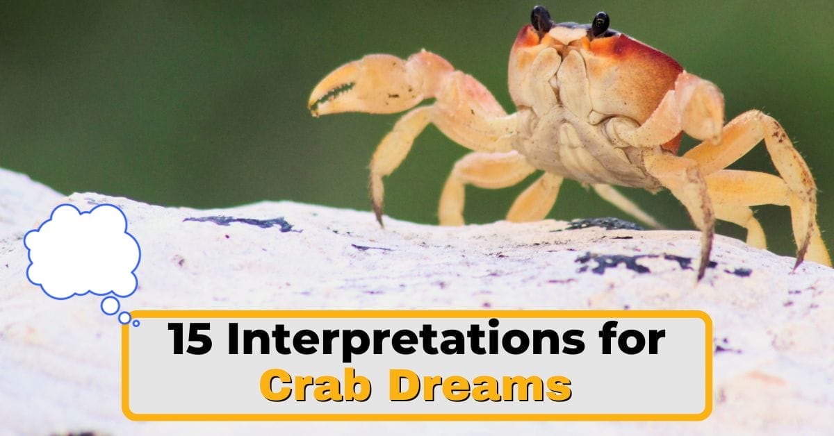 15 Crab Dreams: A Deep Dive Into Their Hidden Significance